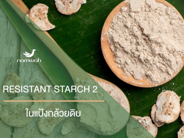 Resistant Starch 2 (RS2) ในแป้งกล้วยดิบ - namwahpowder.com
